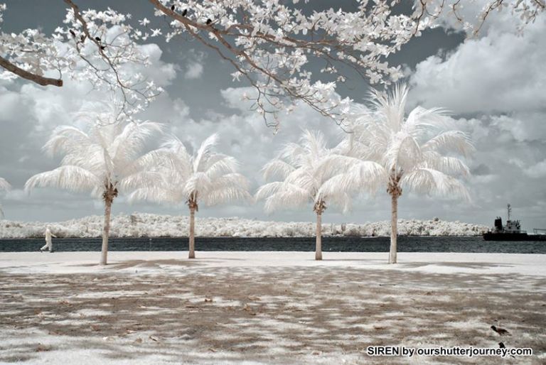 What You Need to know about InfraRed Photography | SHUTTER JOURNEY ...