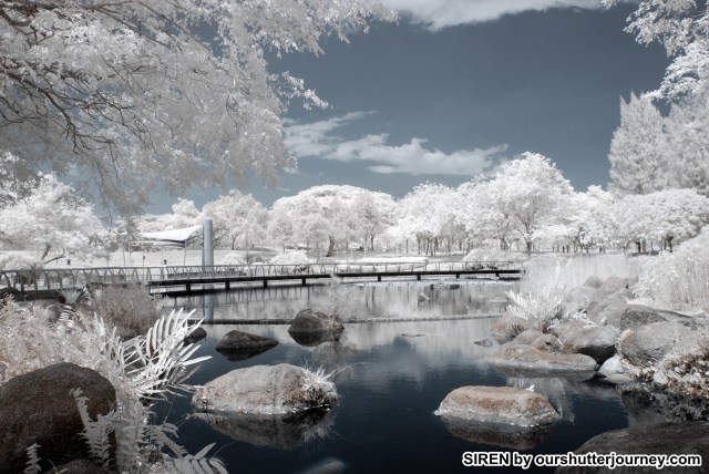 What You Need to know about InfraRed Photography | SHUTTER JOURNEY ...